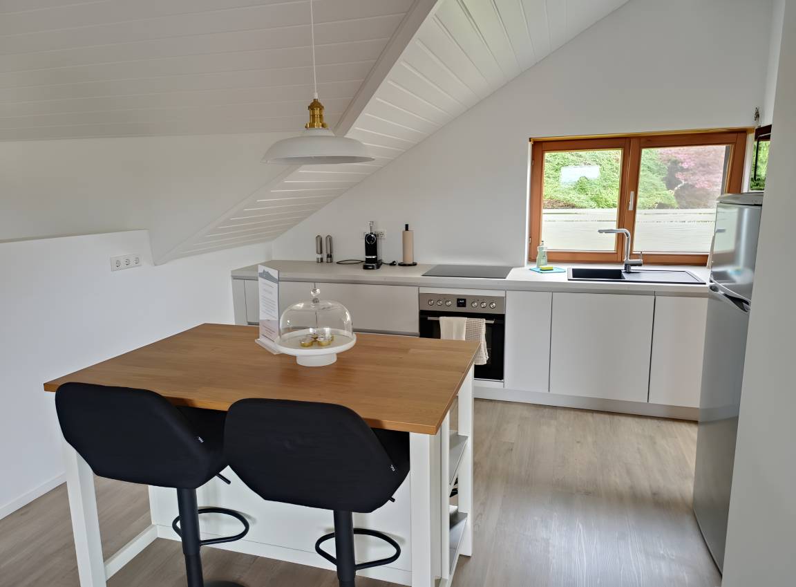 110 M² Ferienwohnung ∙ 2 Schlafzimmer ∙ 4 Gäste - Gailingen am Hochrhein