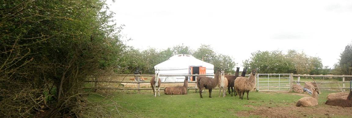 Camping-unterkunft ∙ 1 Schlafzimmer ∙ 4 Gäste - Wolverhampton