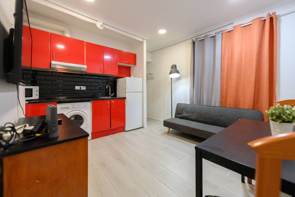45 M² Apartment ∙ 1 Bedroom ∙ 3 Guests - Madrid