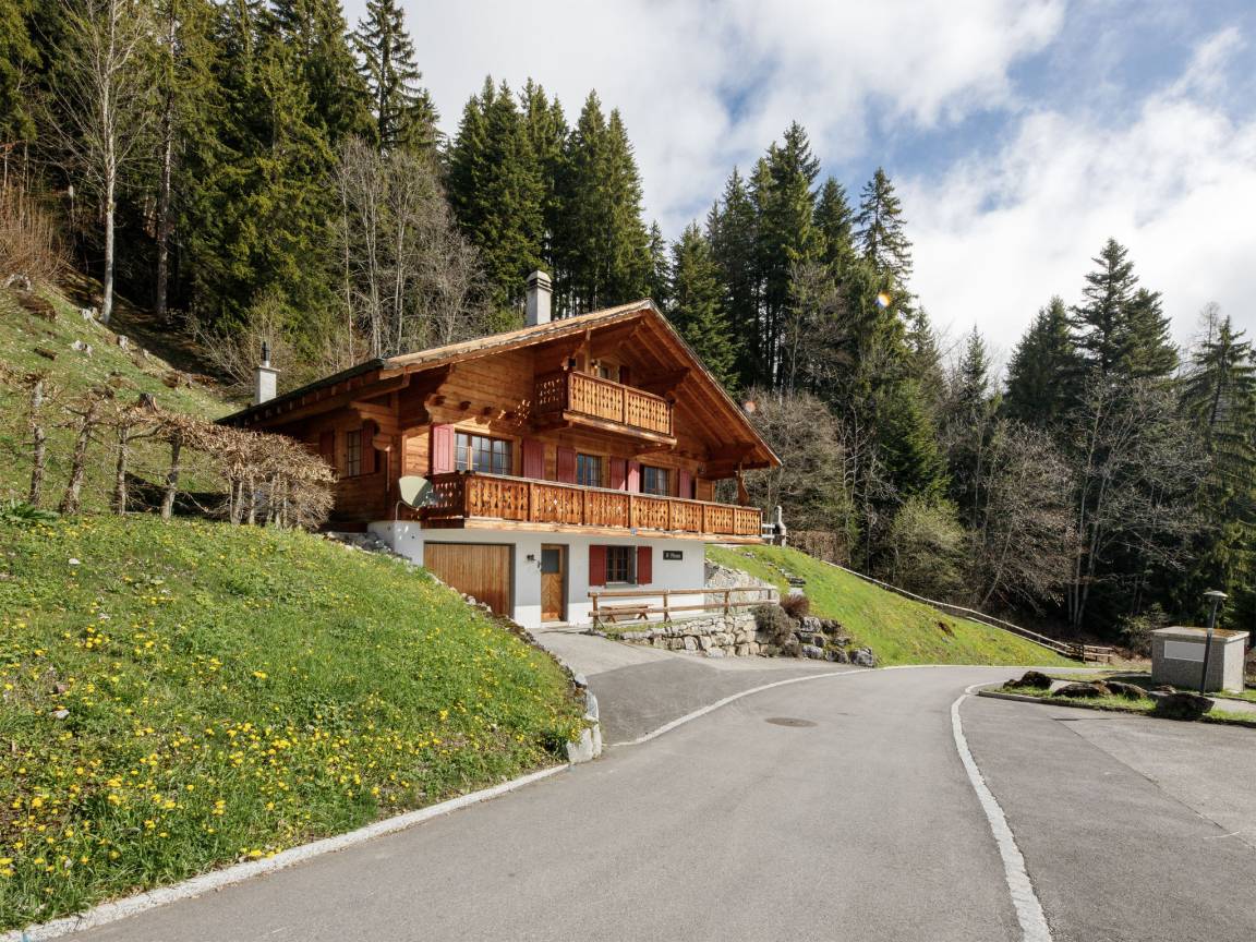 200 M² Huis ∙ 5 Slaapkamers ∙ 10 Gasten - Aigle