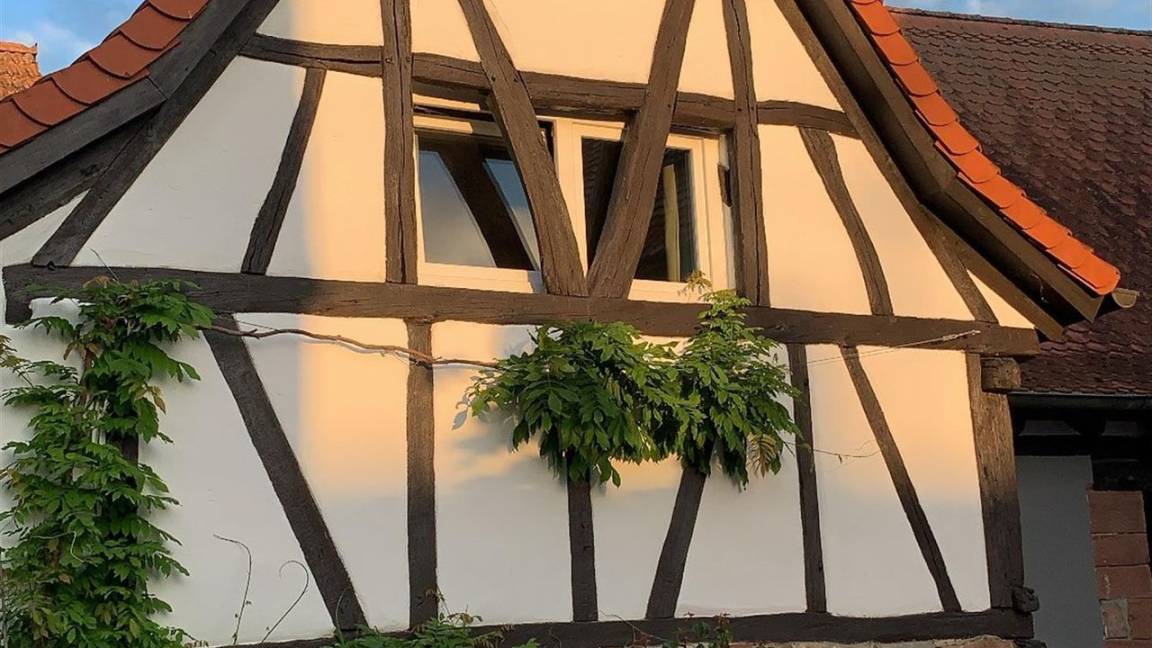 65 M² Apartment ∙ 1 Bedroom ∙ 4 Guests - Landau