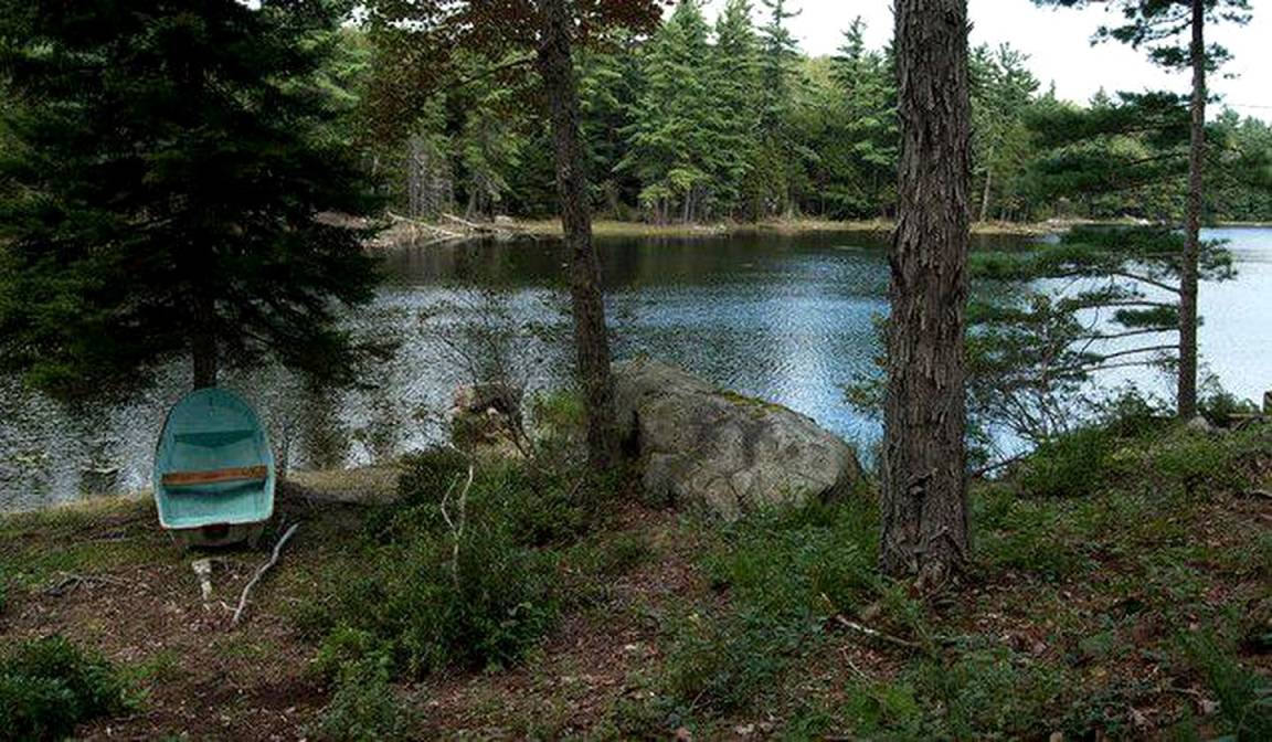 Accommodation ∙ 1 Bedroom ∙ 10 Guests - Mohawk Trail State Forest, Charlemont