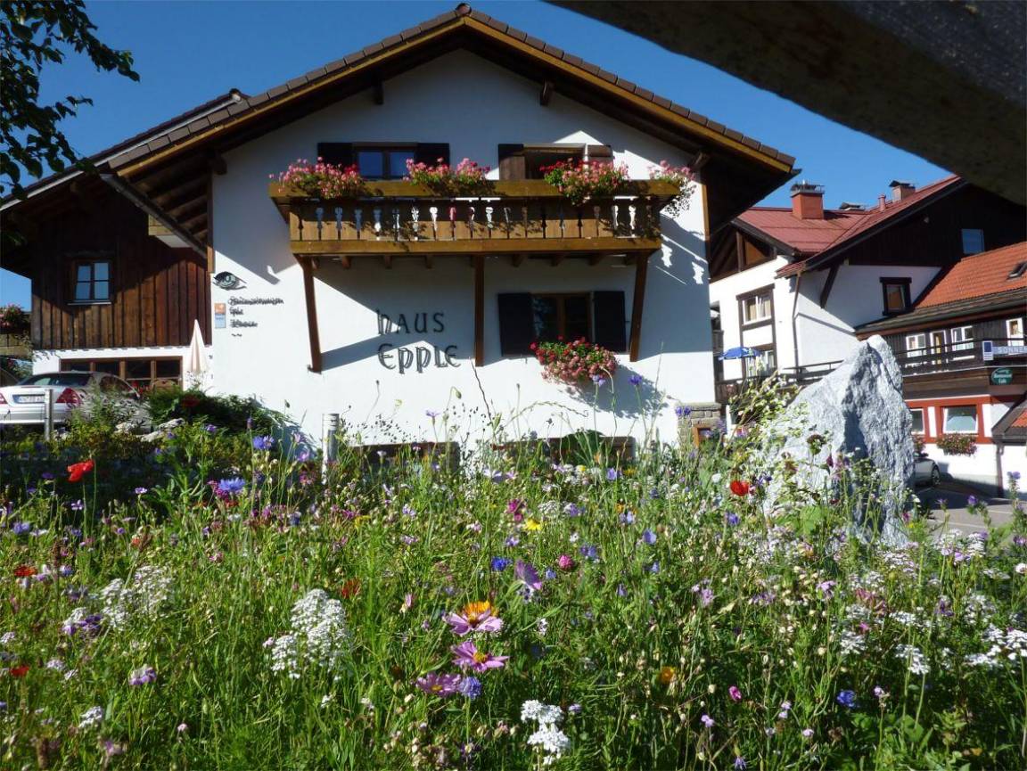 23 M² Ferienwohnung ∙ 1 Schlafzimmer ∙ 2 Gäste - Oberjoch