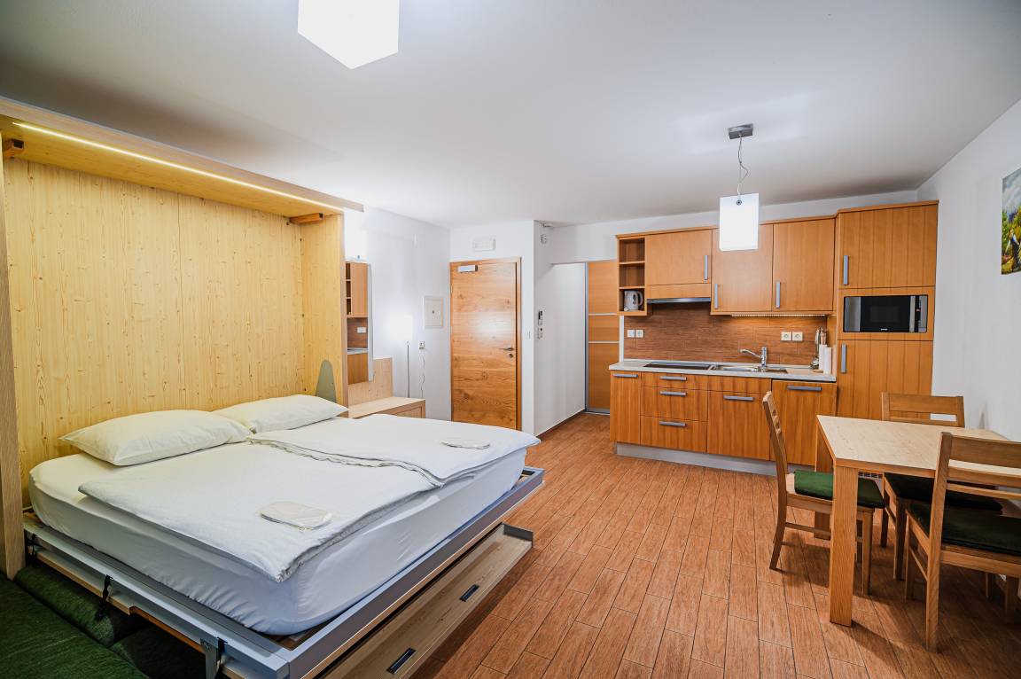 31 M² Studio Flat ∙ 1 Bedroom ∙ 3 Guests - Vinica