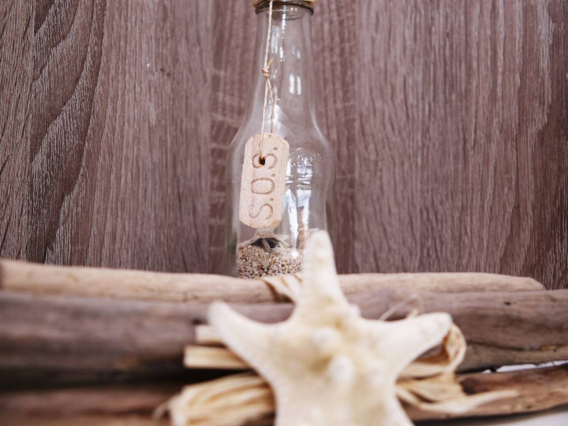 50 M² Appartement ∙ 1 Chambre ∙ 3 Personnes - Darß