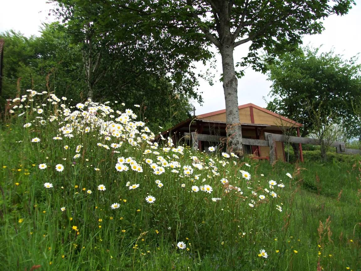 24 M² Chalet ∙ 2 Chambres ∙ 5 Personnes - Morvan