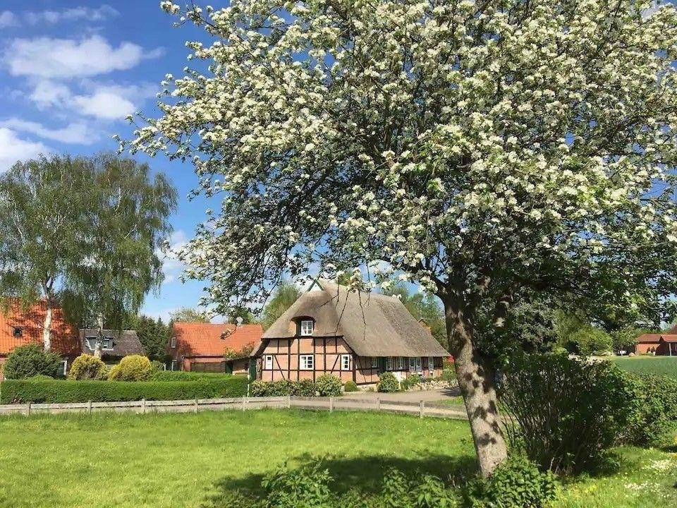 104 M² Ferienhaus ∙ 3 Schlafzimmer ∙ 6 Gäste - Hohwacht (Ostsee)