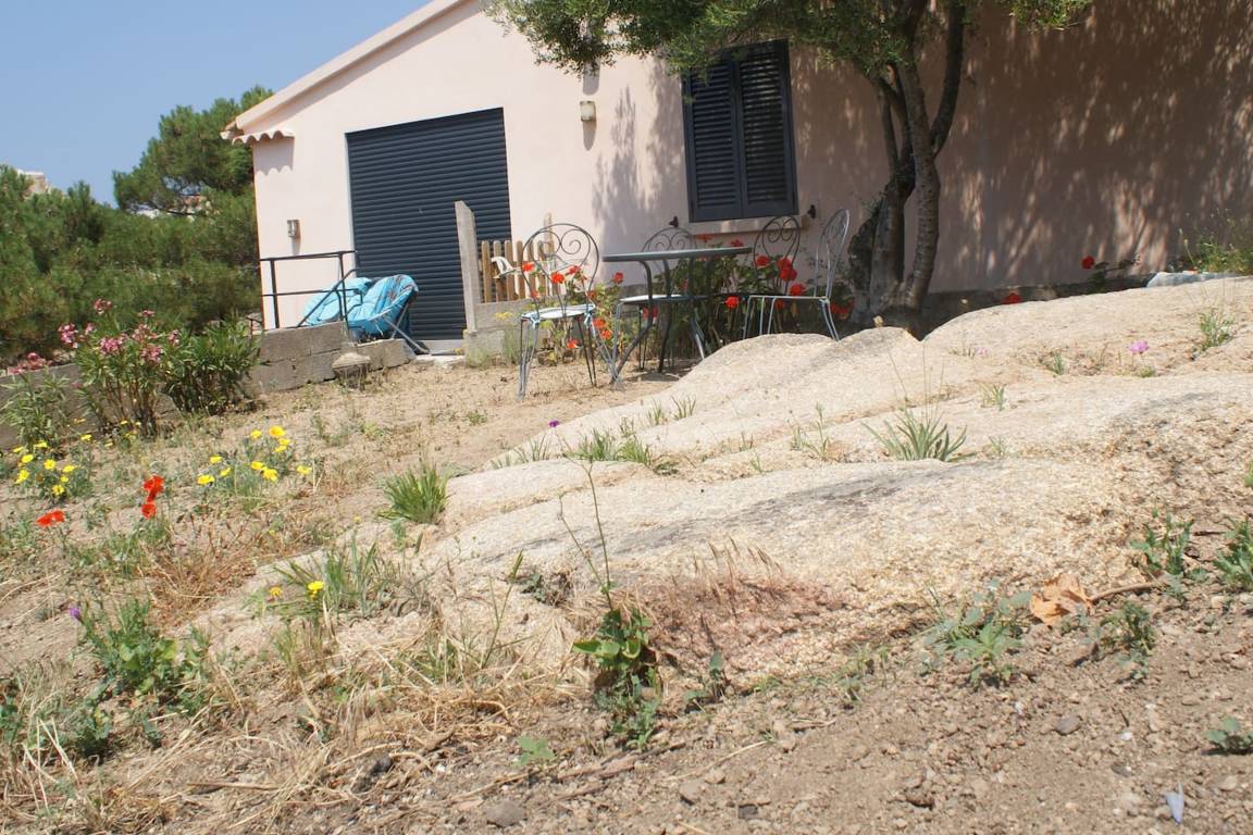 30 M² Studio Flat ∙ 4 Guests - Calvi