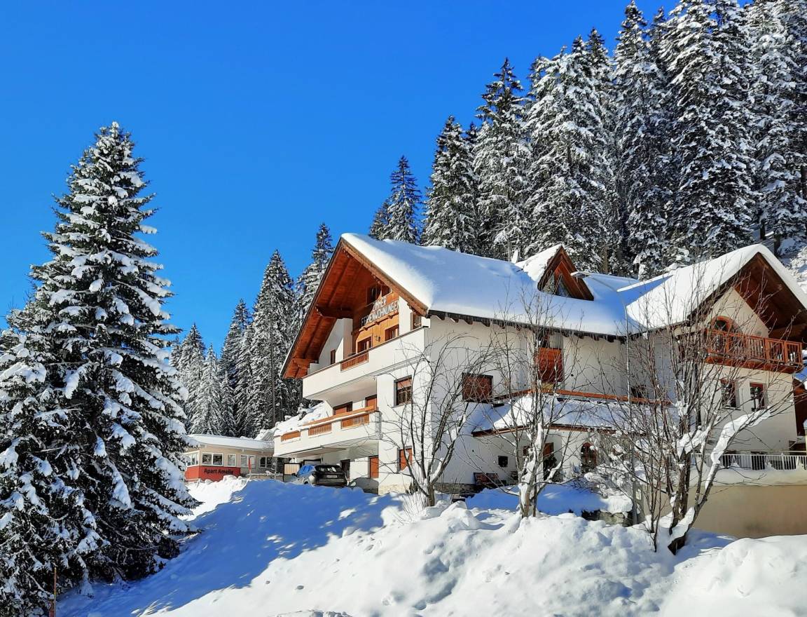 29 M² Ferienwohnung ∙ 1 Schlafzimmer ∙ 4 Gäste - Ischgl