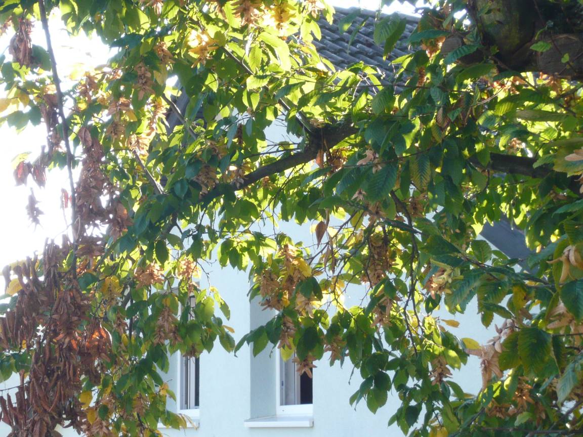 45 M² Appartement ∙ 1 Chambre ∙ 3 Personnes - Schopfheim