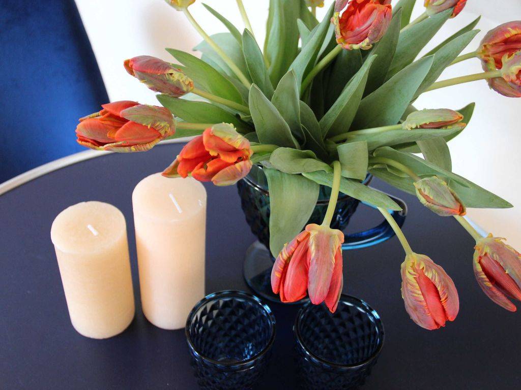 Apartment Iii - Maison Art Apartments - Object 94080 - Rostock