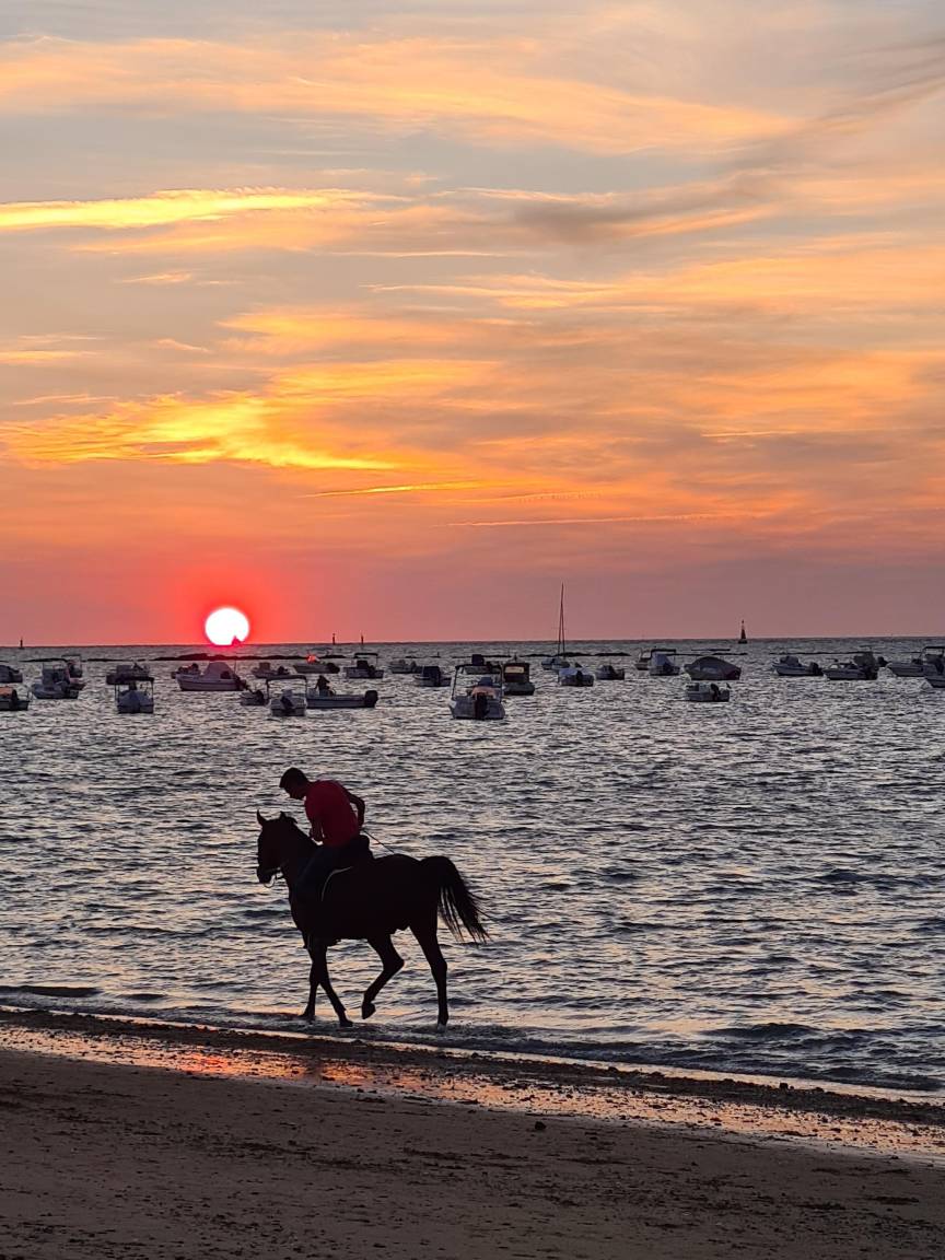 75 M² Apartamento ∙ 2 Habitaciones ∙ 4 Huéspedes - Chipiona