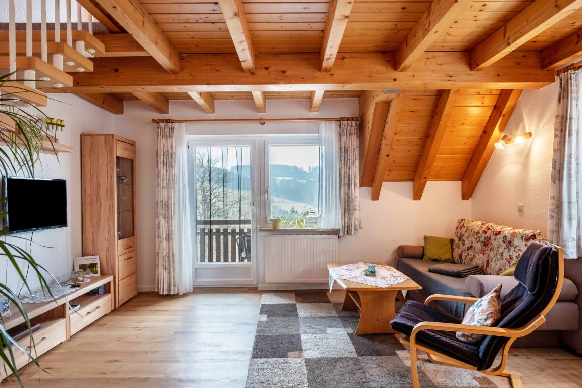 50 M² Apartamento ∙ 1 Habitación ∙ 3 Huéspedes - Titisee-Neustadt