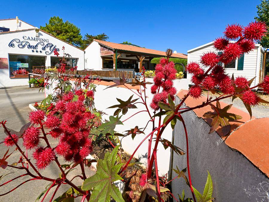 Bungalow ∙ 2 Chambres ∙ 5 Personnes - Saint-Jean-de-Monts