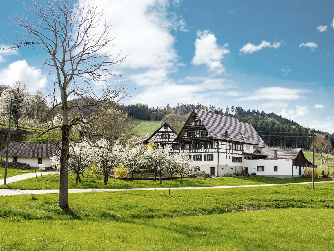 73 M² Ferienwohnung ∙ 2 Schlafzimmer ∙ 4 Gäste - Appenweier