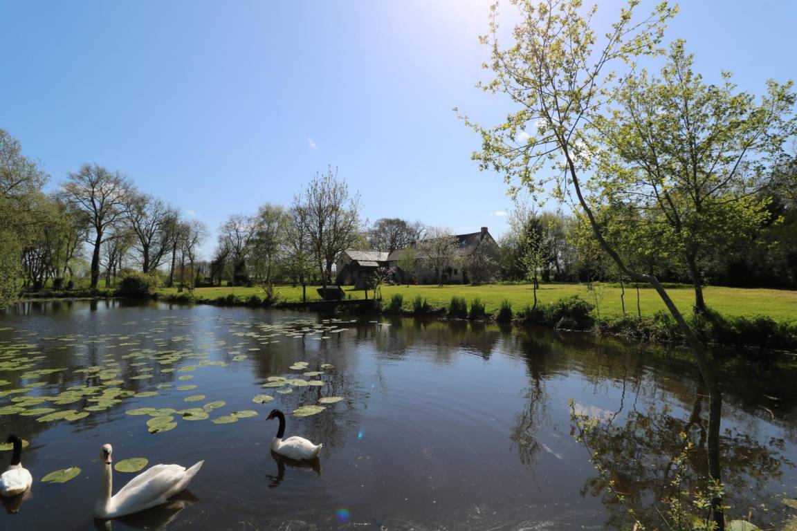 40 M² Gîte ∙ 1 Chambre ∙ 2 Personnes - Combourg