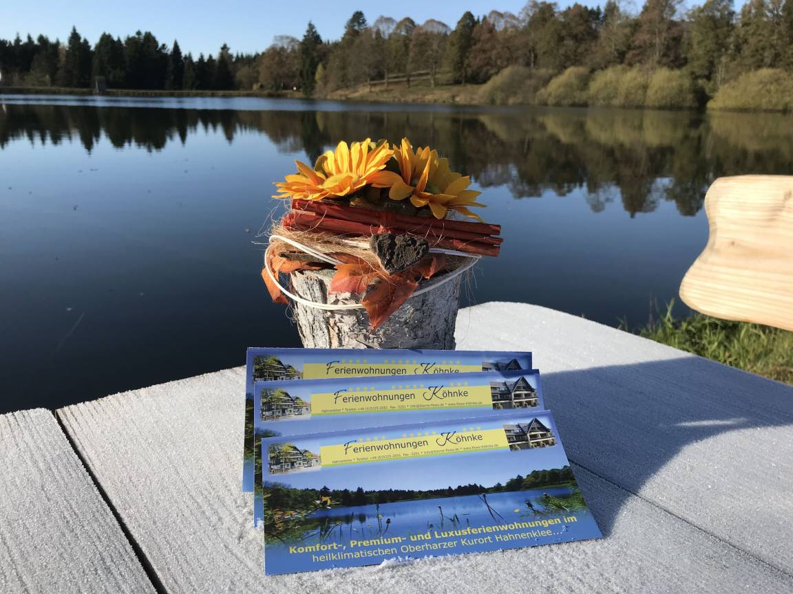 42 M² Ferienwohnung ∙ 1 Schlafzimmer ∙ 2 Gäste - Goslar