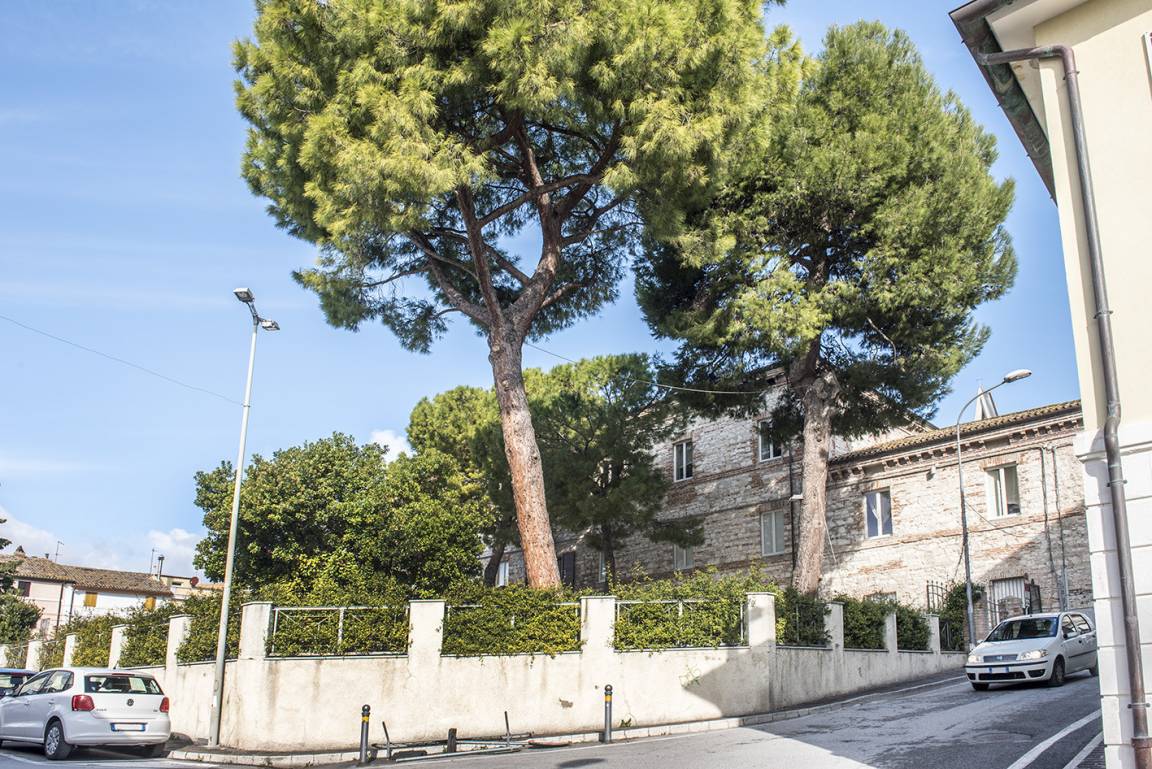 50 M² Appartement ∙ 1 Chambre ∙ 4 Personnes - Sirolo