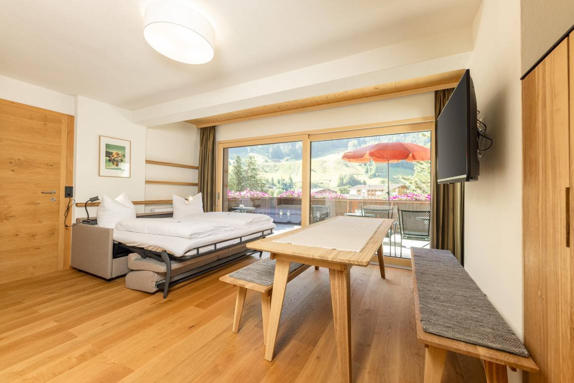 26 M² Hotel ∙ 1 Bedroom ∙ 2 Guests - Neustift im Stubaital