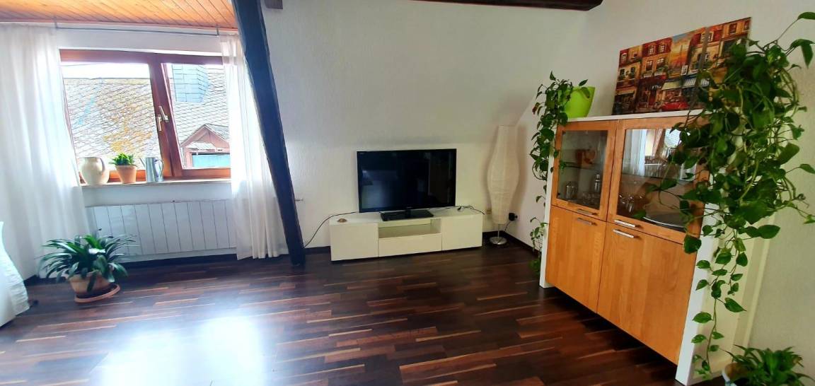 Appartement ∙ 1 Slaapkamer ∙ 2 Gasten - Zell