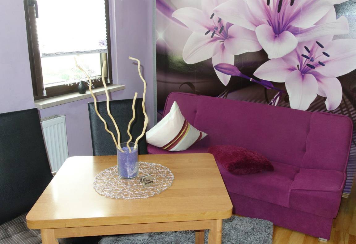 28 M² Ferienwohnung ∙ 1 Schlafzimmer ∙ 2 Gäste - Weißenfels