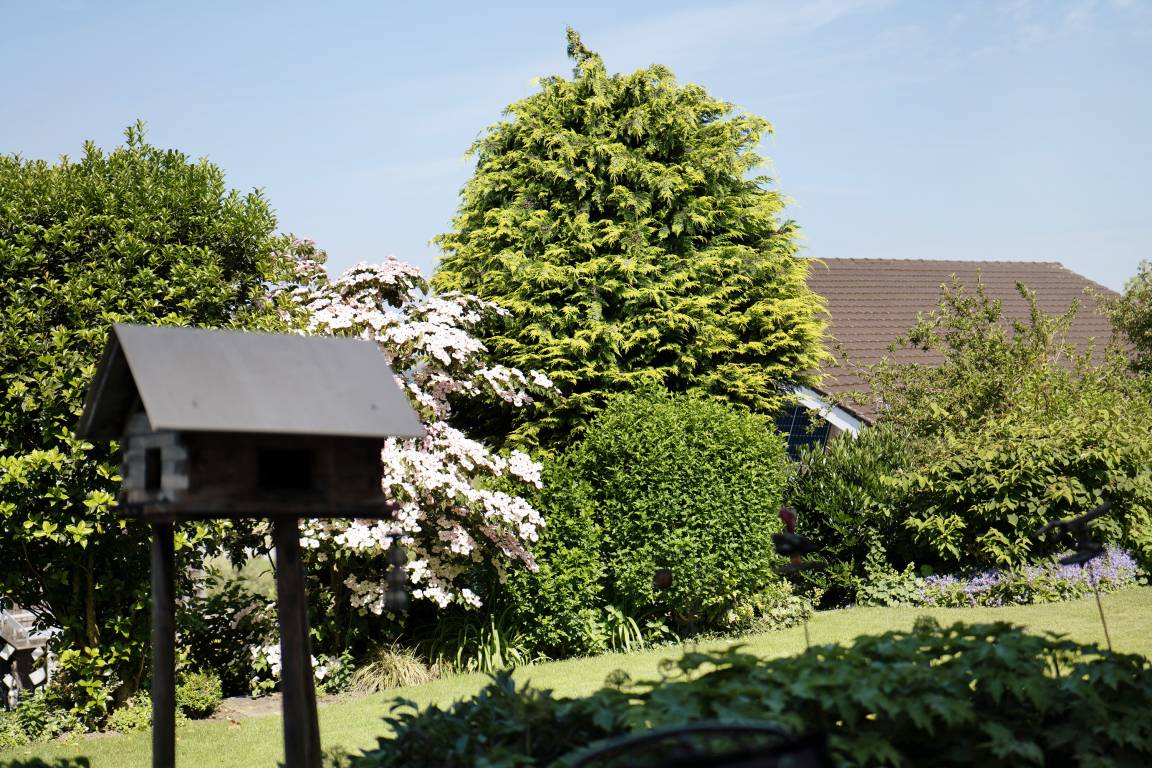 50 M² Appartement ∙ 1 Chambre ∙ 2 Personnes - Tettnang
