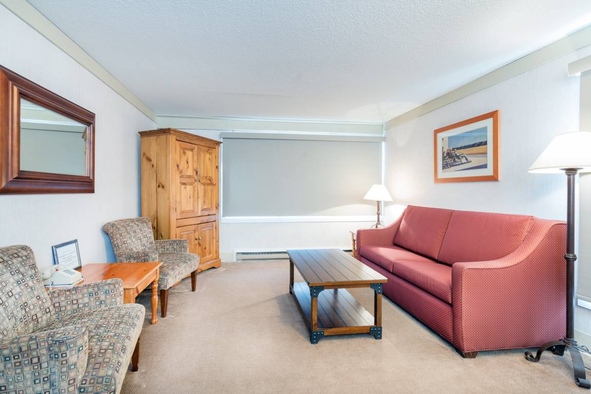 53 M² Condo ∙ 1 Bedroom ∙ 4 Guests - Telluride, CO
