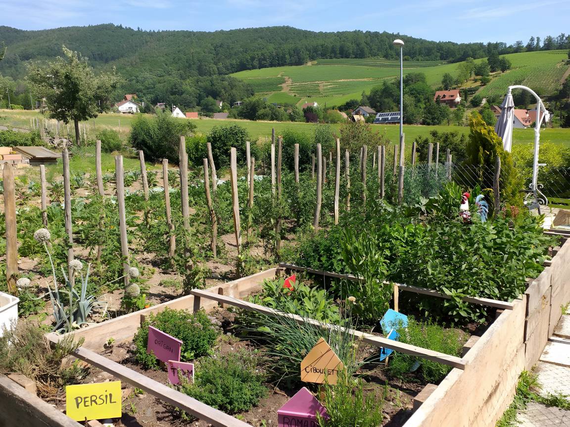 14 M² Chambre D'hôtes ∙ 1 Chambre ∙ 2 Personnes - Orbey