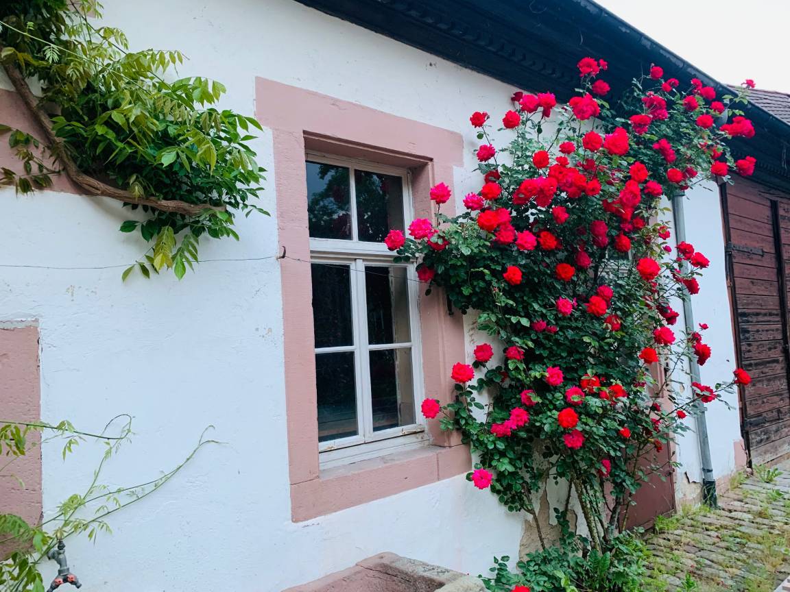 95 M² Appartamento Vacanza ∙ 2 Camere Da Letto ∙ 5 Ospiti - Gernsbach