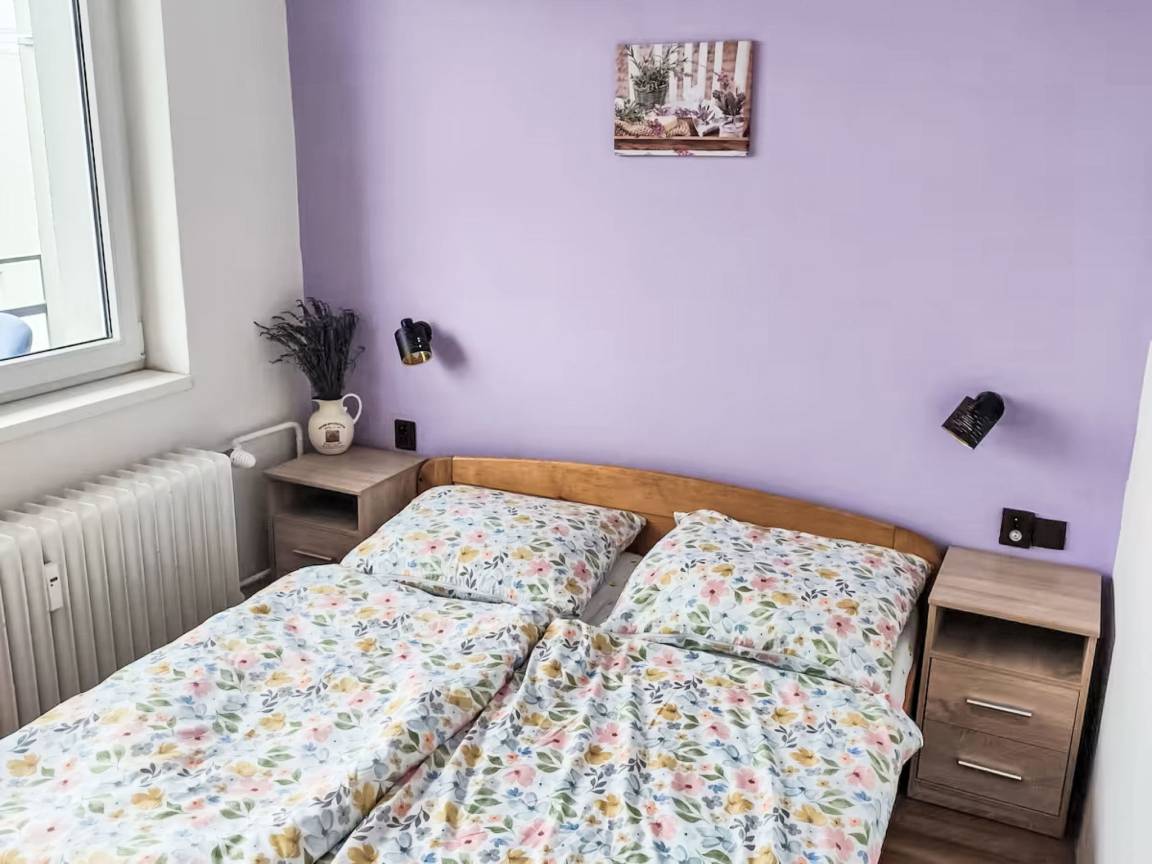 Apartment ∙ 1 Bedroom ∙ 6 Guests - Pardubice