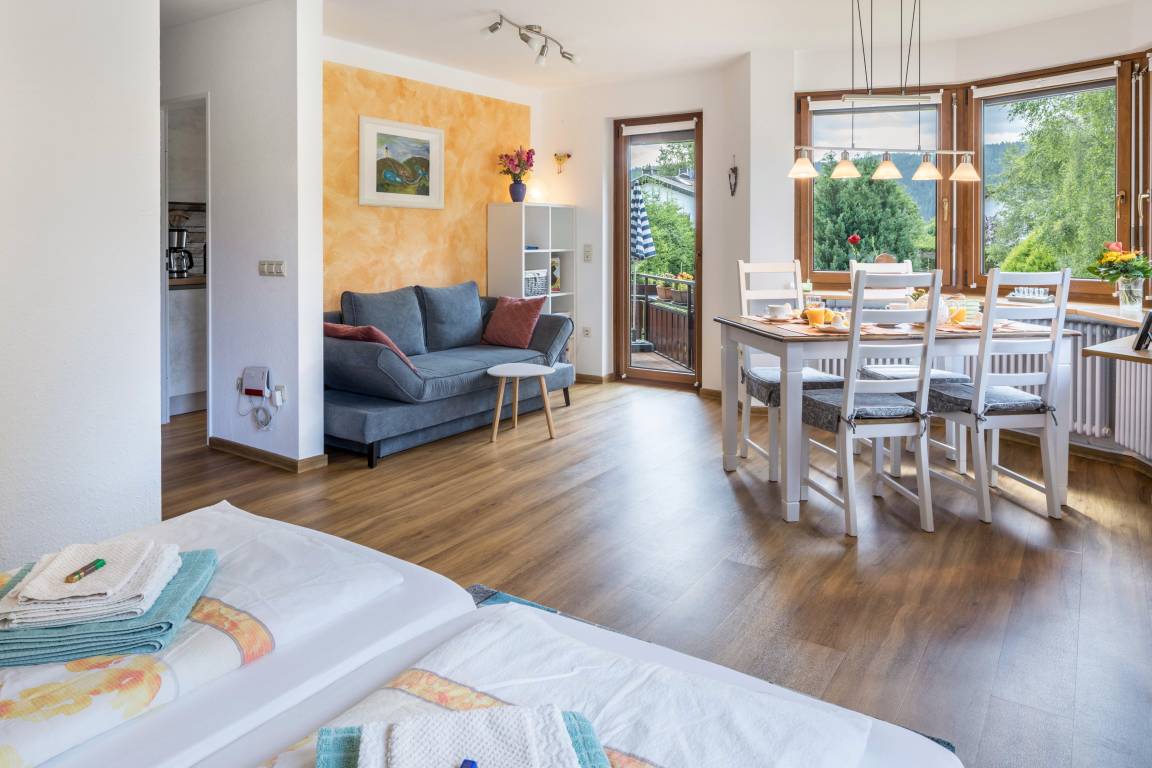 40 M² Studio Flat ∙ 4 Guests - Titisee-Neustadt