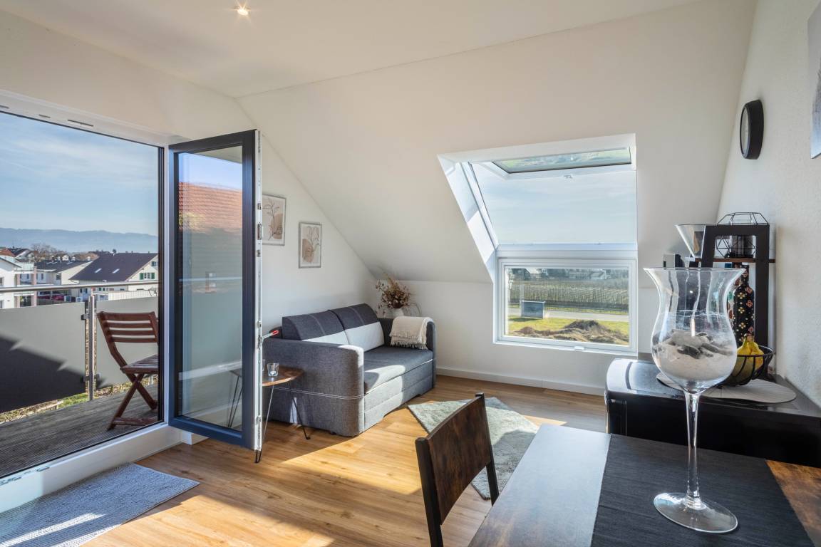 45 M² Apartment ∙ 1 Bedroom ∙ 3 Guests - Wasserburg am Bodensee