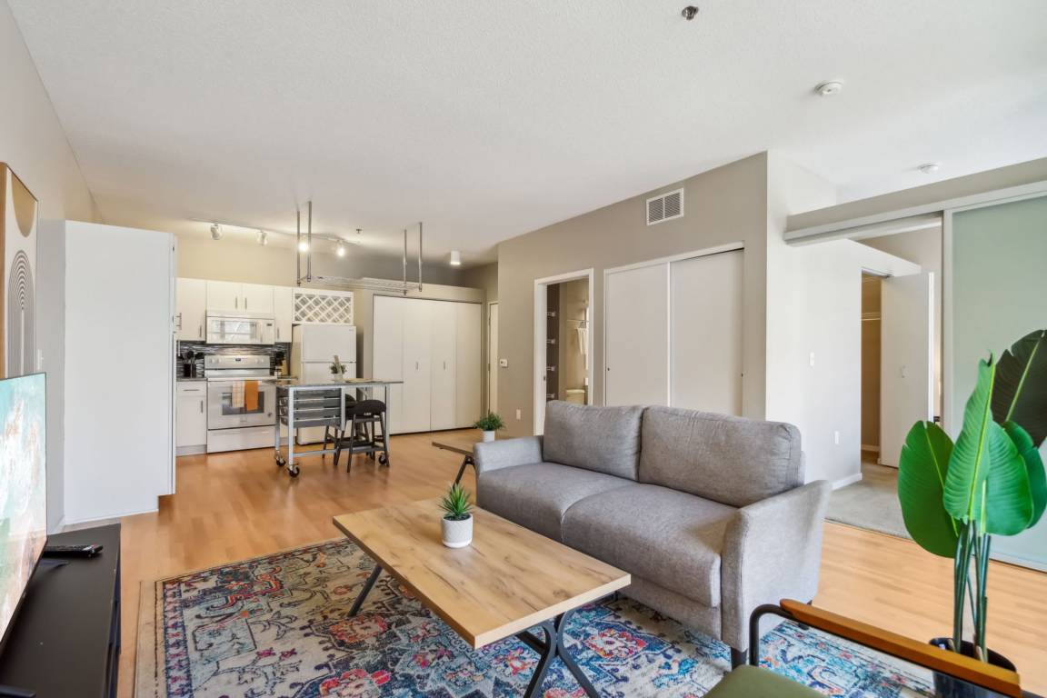 Apartment ∙ 1 Bedroom ∙ 2 Guests - Minneapolis, MN