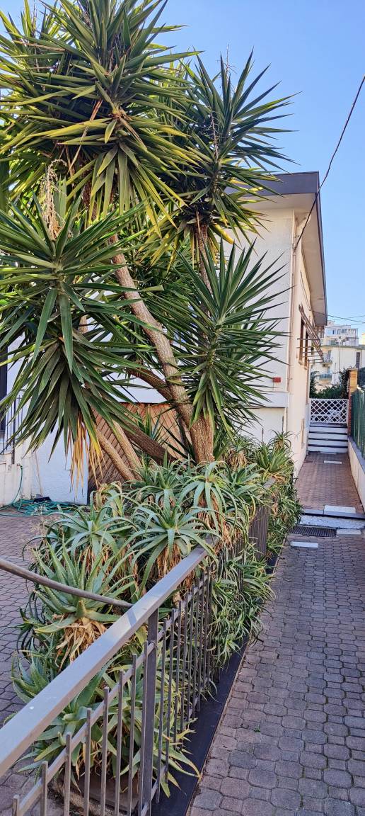 85 M² Villa ∙ 2 Schlafzimmer ∙ 4 Gäste - Sanremo