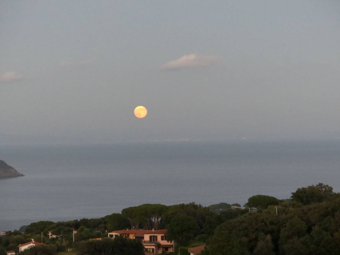 30 M² Apartment ∙ 1 Bedroom ∙ 4 Guests - Porto Azzurro