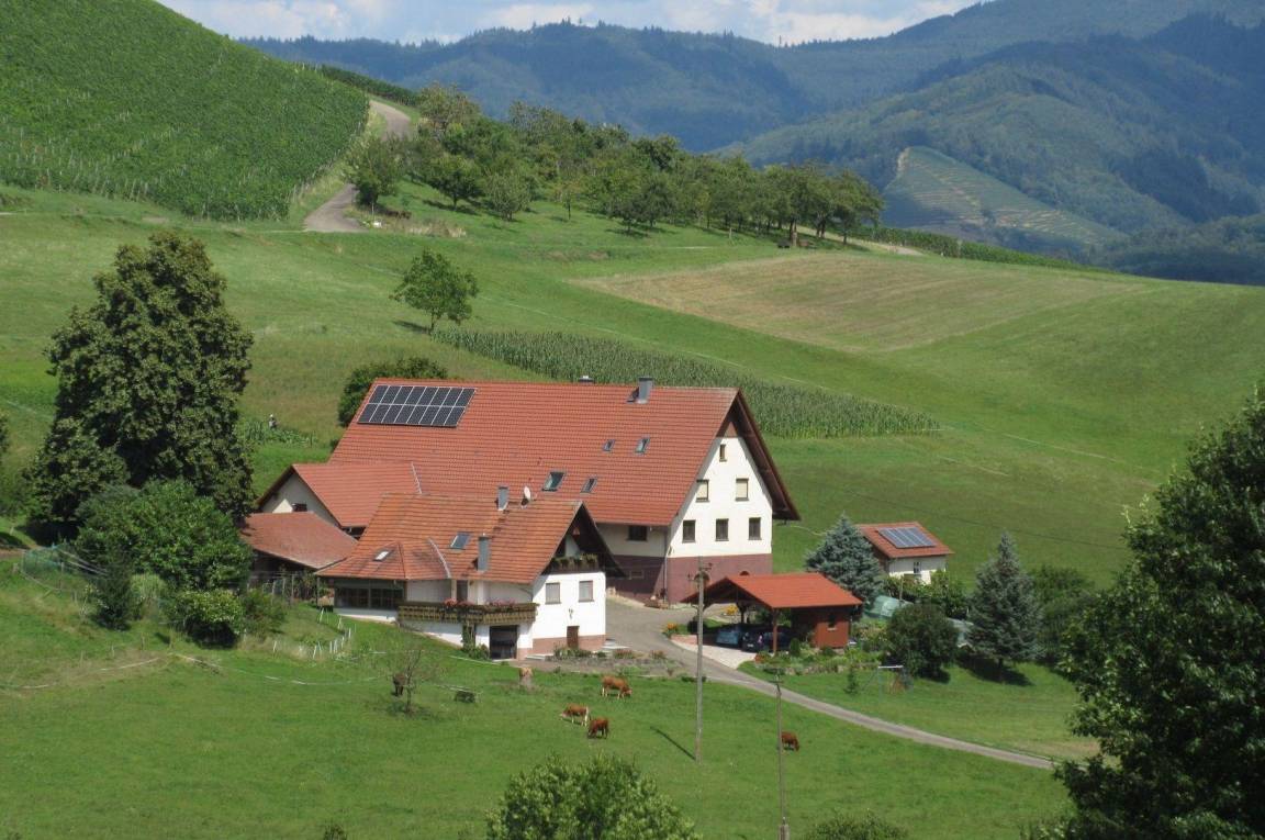 52 M² Ferienwohnung ∙ 2 Schlafzimmer ∙ 4 Gäste - Gengenbach