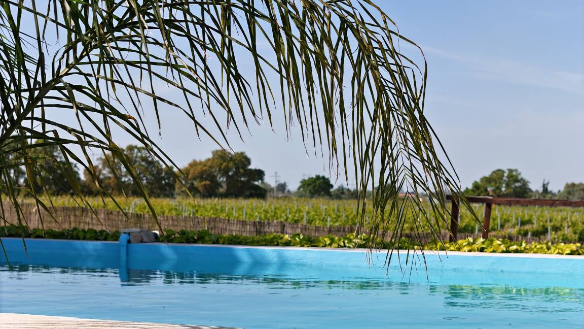 100 M² Cottage ∙ 3 Slaapkamers ∙ 6 Gasten - Pinhal Novo