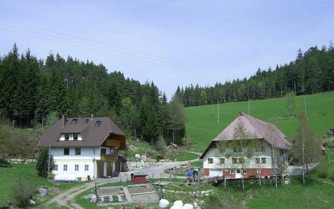 40 M² Ferienwohnung ∙ 1 Schlafzimmer ∙ 3 Gäste - Hornberg