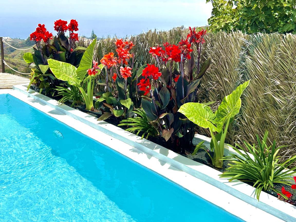100 M² Villa ∙ 2 Slaapkamers ∙ 4 Gasten - Las Palmas de Gran Canaria
