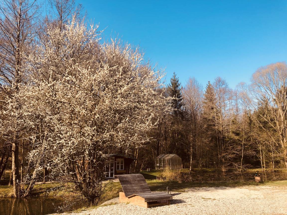 Ferienhaus ∙ 1 Schlafzimmer ∙ 4 Gäste - Allersberg