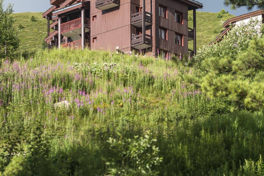 49 M² Appartement ∙ 1 Chambre ∙ 6 Personnes - Aime