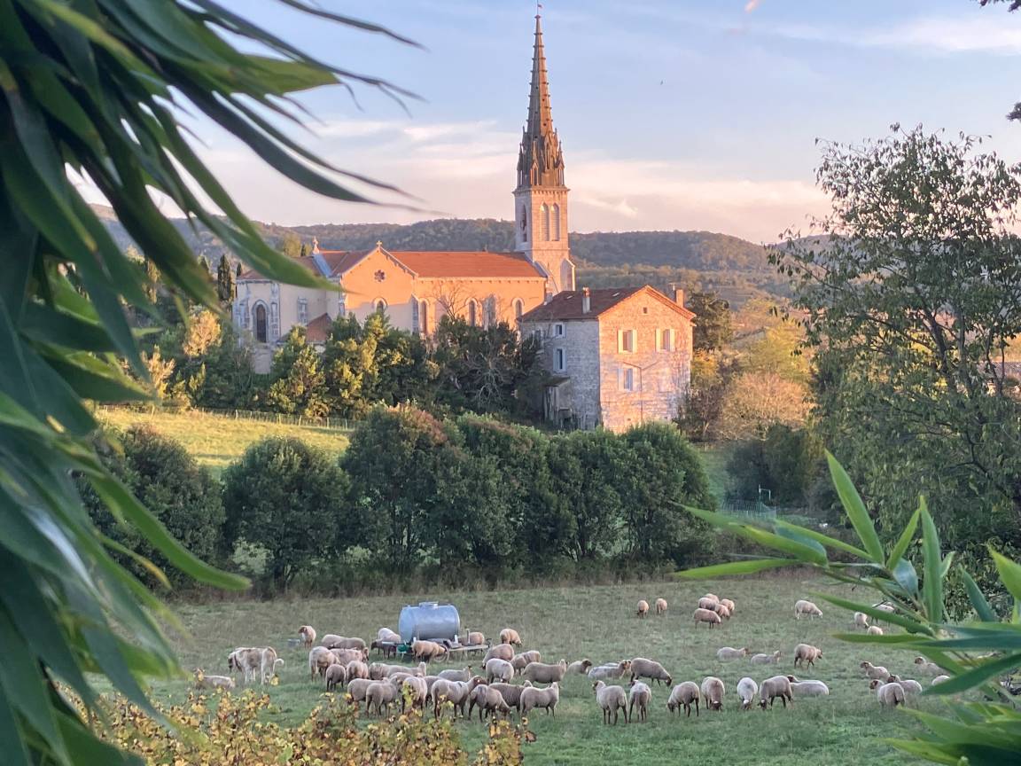 35 M² Cottage ∙ 1 Slaapkamer ∙ 4 Gasten - Balazuc