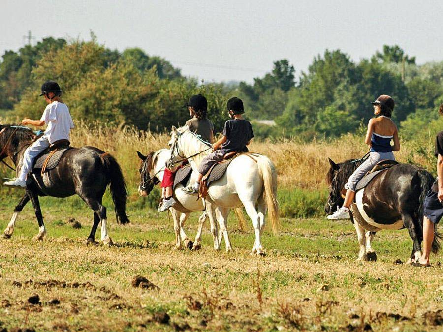 30 M² Tente ∙ 2 Chambres ∙ 5 Personnes - Saint-Trojan-les-Bains