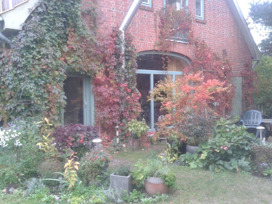 55 M² Appartement ∙ 1 Chambre ∙ 5 Personnes - Winsen Luhe, Allemagne