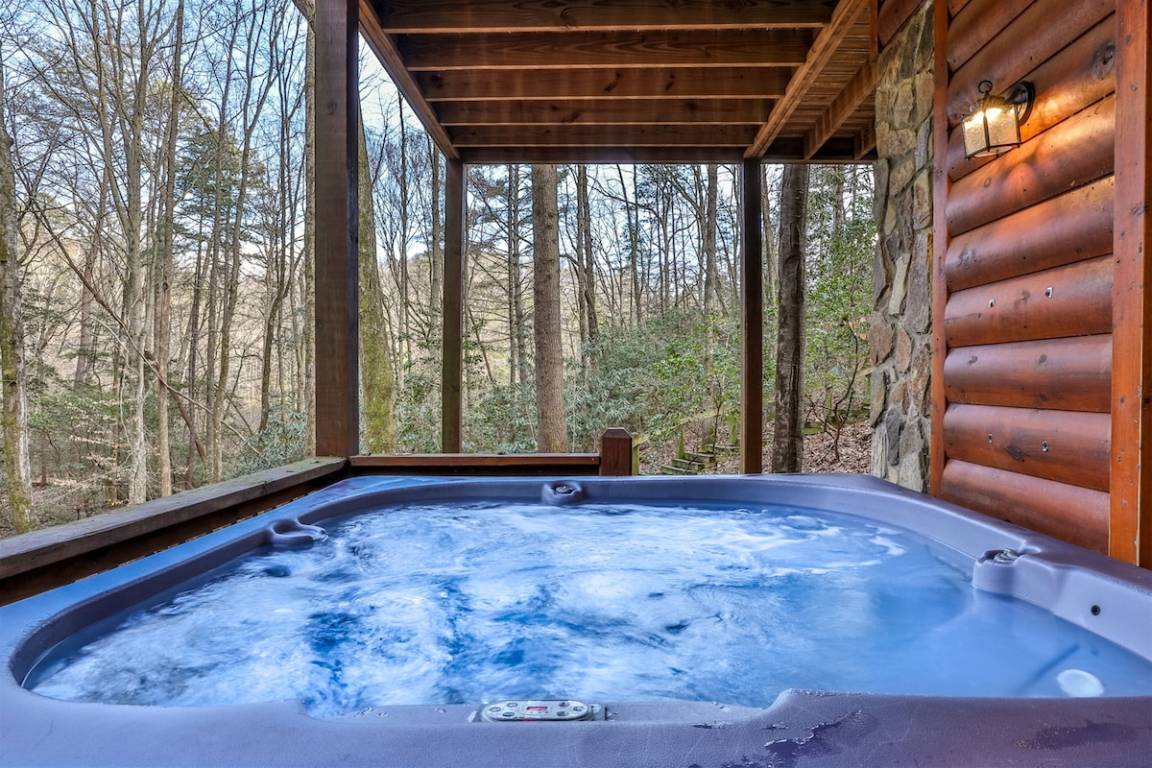 Cabin ∙ 2 Bedrooms ∙ 4 Guests - Cherry Log, GA