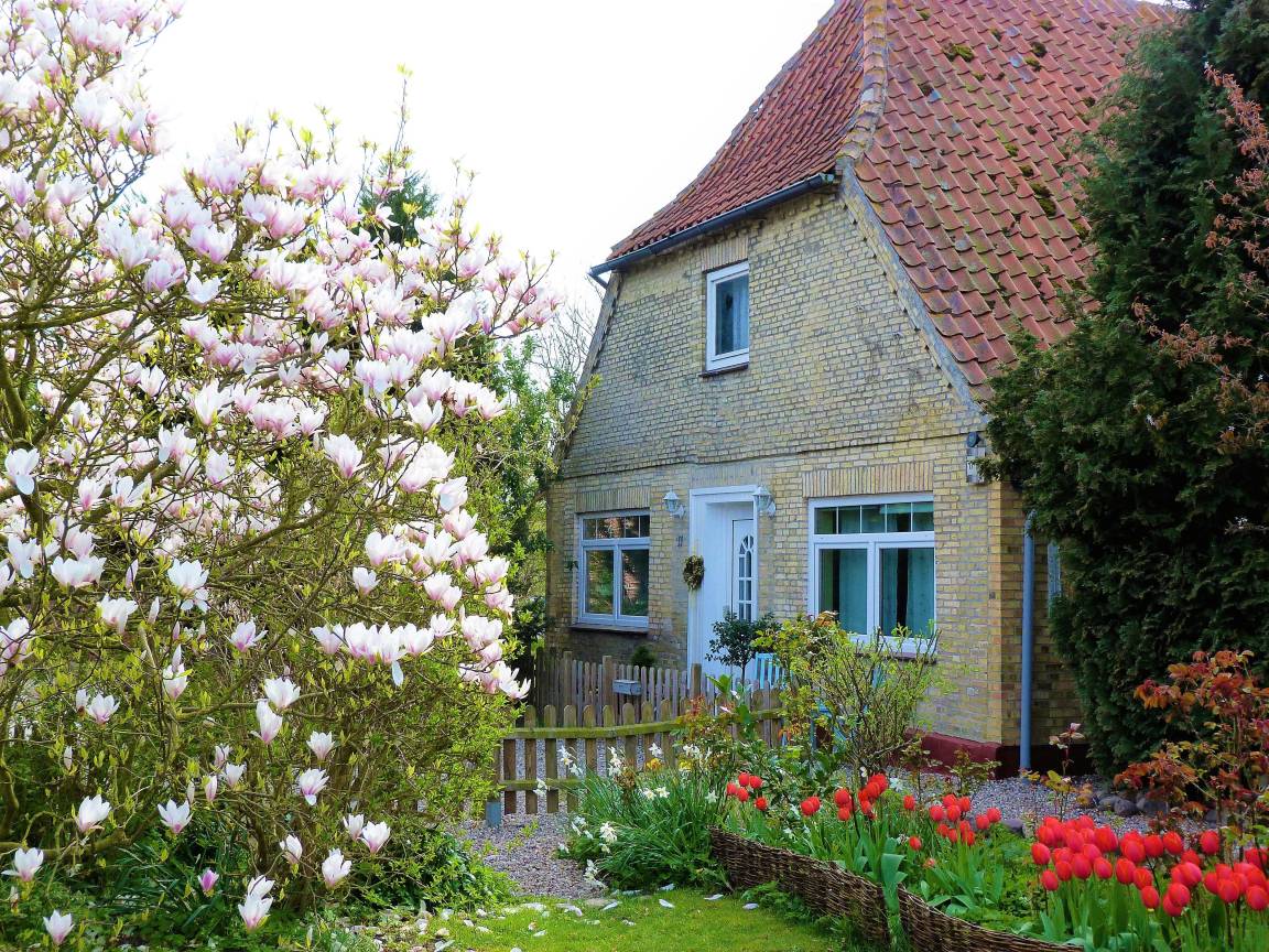 60 M² Apartment ∙ 1 Bedroom ∙ 4 Guests - Fehmarn