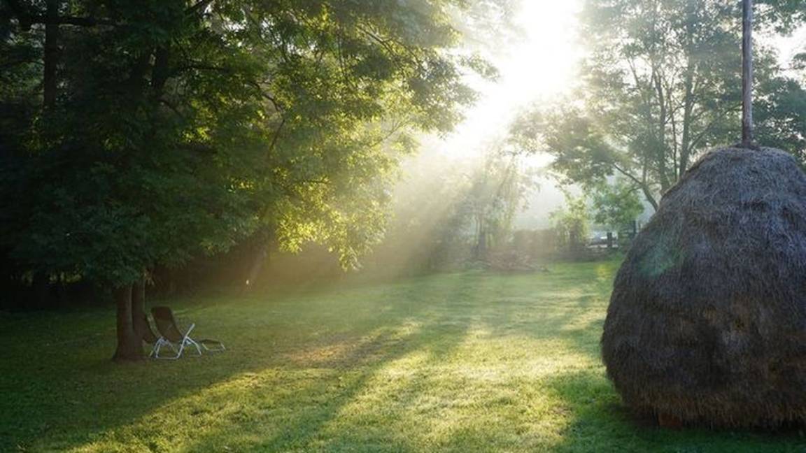 Hotel ∙ 1 Guest - Lübbenau