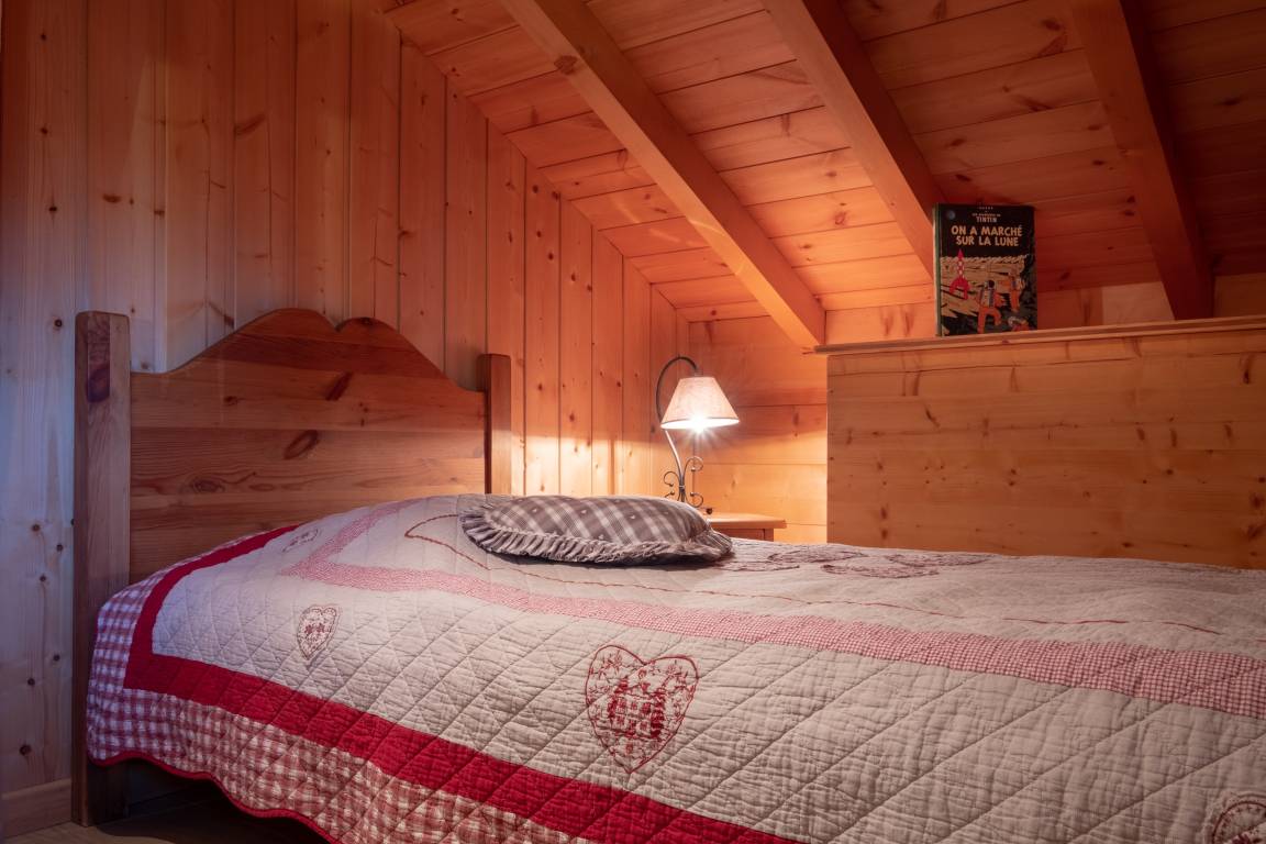 41 M² Chalet ∙ 2 Schlafzimmer ∙ 3 Gäste - Menthon-Saint-Bernard