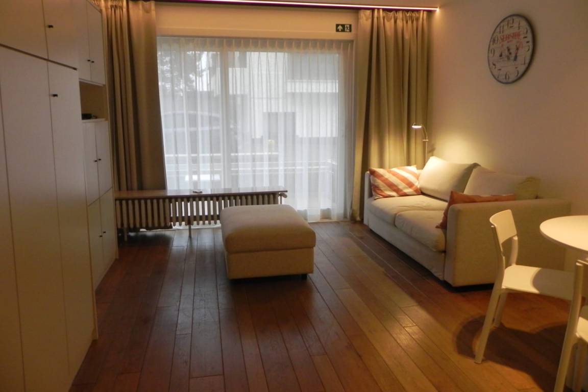 38 M² Studio Flat ∙ 4 Guests - Flanders