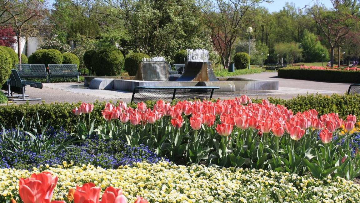 Hotel ∙ 2 Ospiti - Bad Füssing